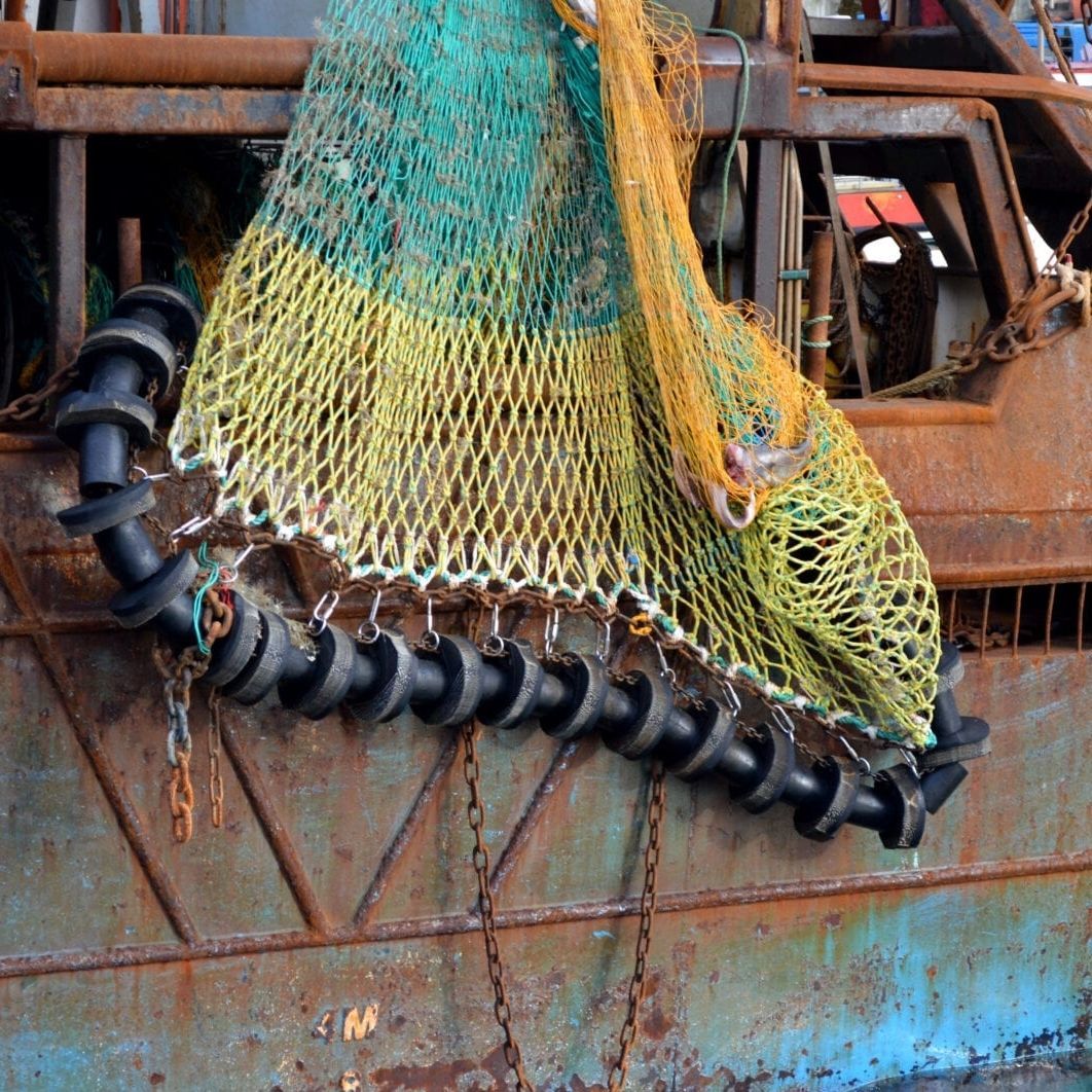 Rete a strascico - Flatfish - Vónin - da pesca