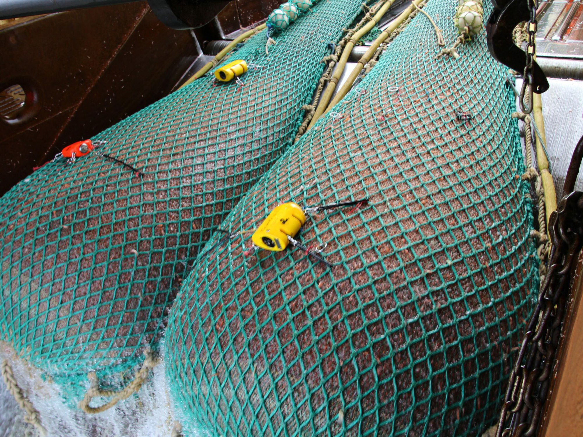 Rete da pesca - 2014 - Vónin - a strascico