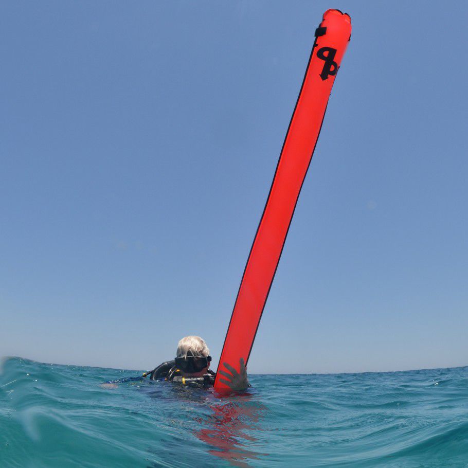 Boa segna sub - SMBCI/3M/35P - A.P. Diving