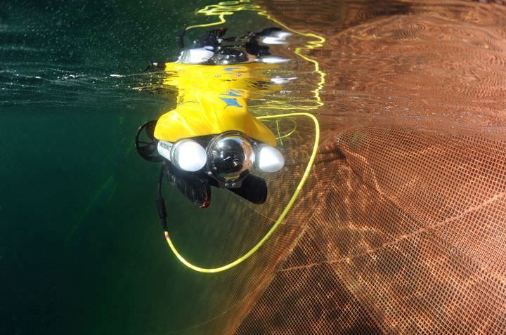 ROV subacqueo di intervento - Pro 4 Standard BASE - VideoRay - di ...