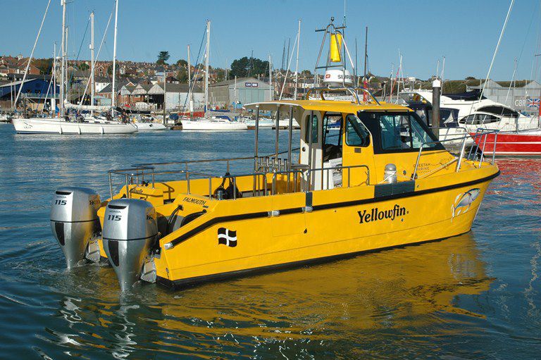 Barca da pesca e diporto catamarano - Cheetah Marine - fuoribordo ...