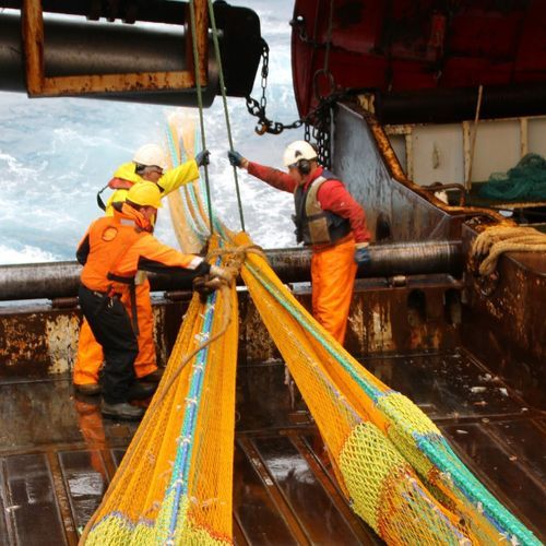 Rete da pesca - Turbot - Vónin - a strascico