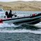 Patrol boat - CONTENDER - Polaris boat - barca di salvataggio ...